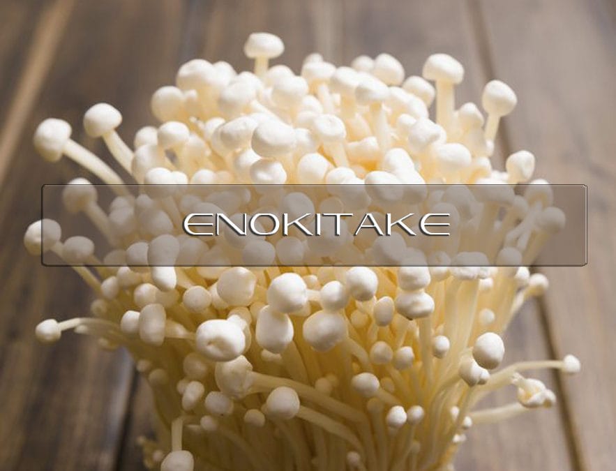 Benefits of Enokitake | Interstellar Blends | Activate Your Super Powers!