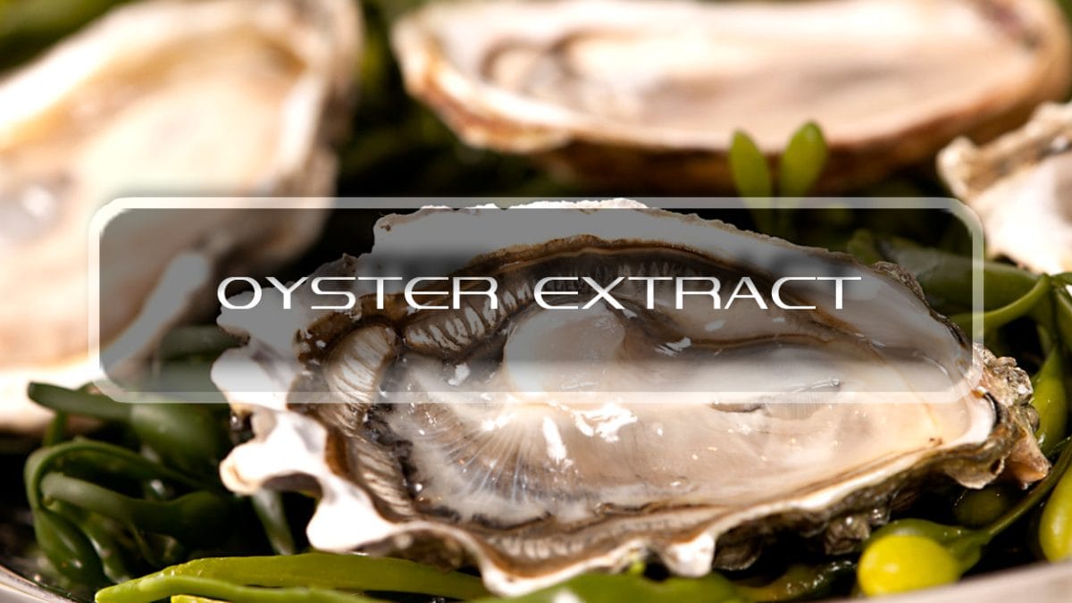 Benefits of Oyster Extract | Interstellar Blends | Activate Your Super ...