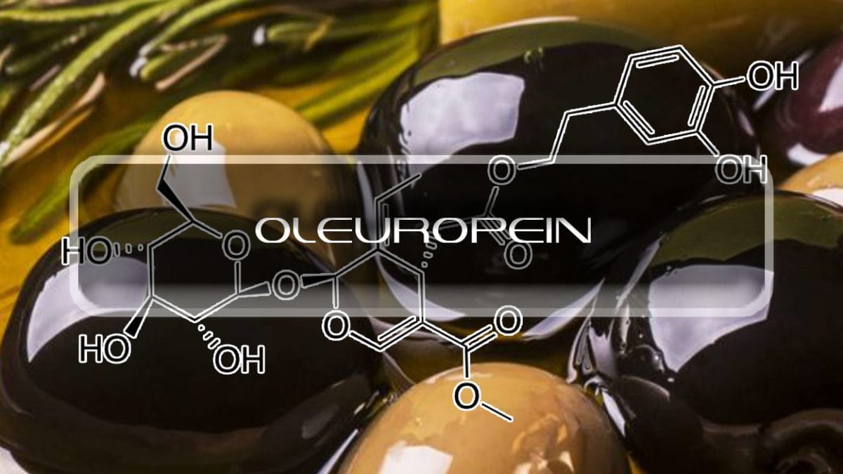 Benefits of Oleuropein | Interstellar Blends | Activate Your Super Powers!