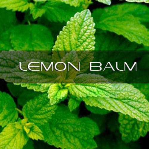 Benefits of Yerba Mate | Interstellar Blends | Activate Your Super Powers!