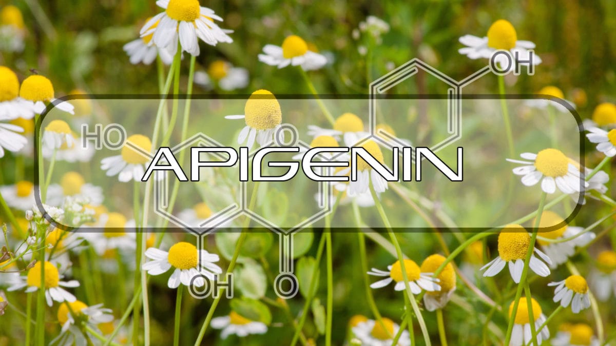 Benefits of Apigenin | Interstellar Blends | Activate Your Super Powers!