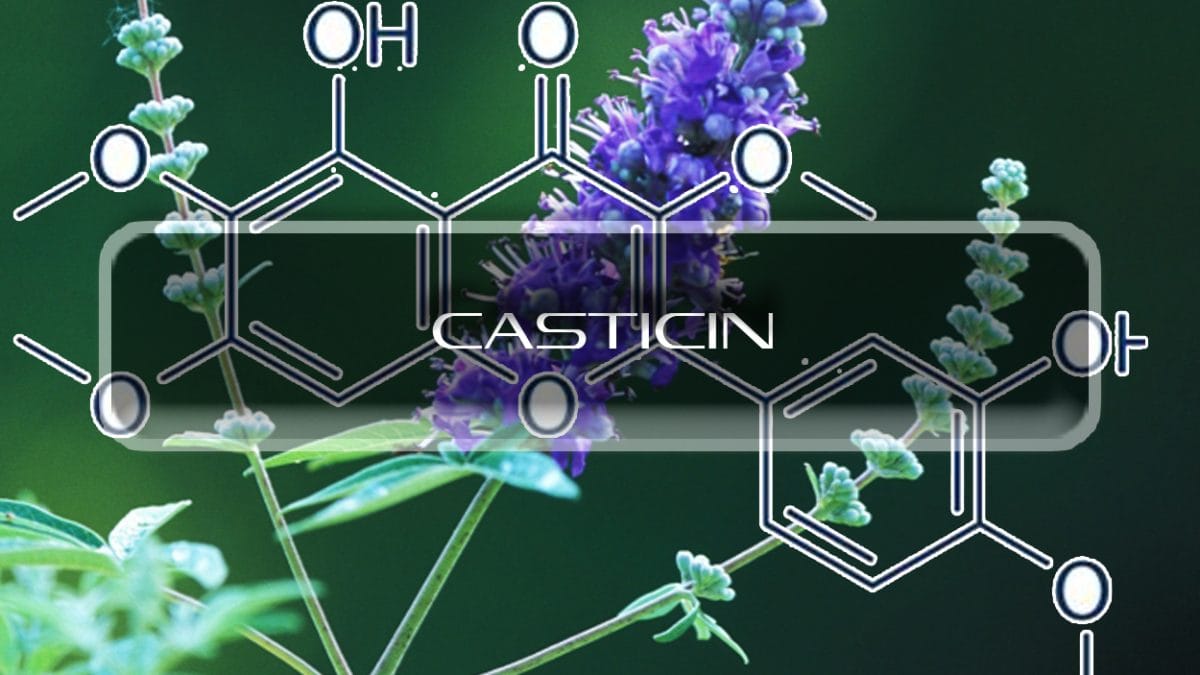 Benefits of Casticin | Interstellar Blends | Activate Your Super Powers!