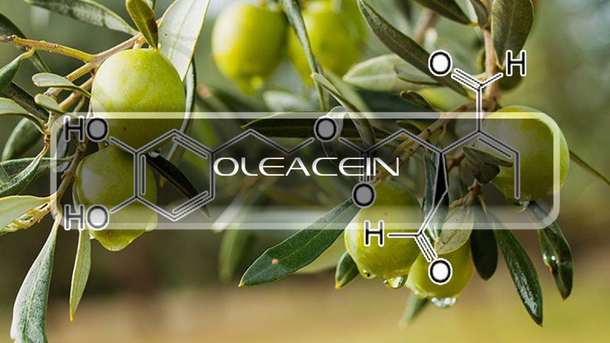 Benefits of Oleacein | Interstellar Blends | Activate Your Super Powers!
