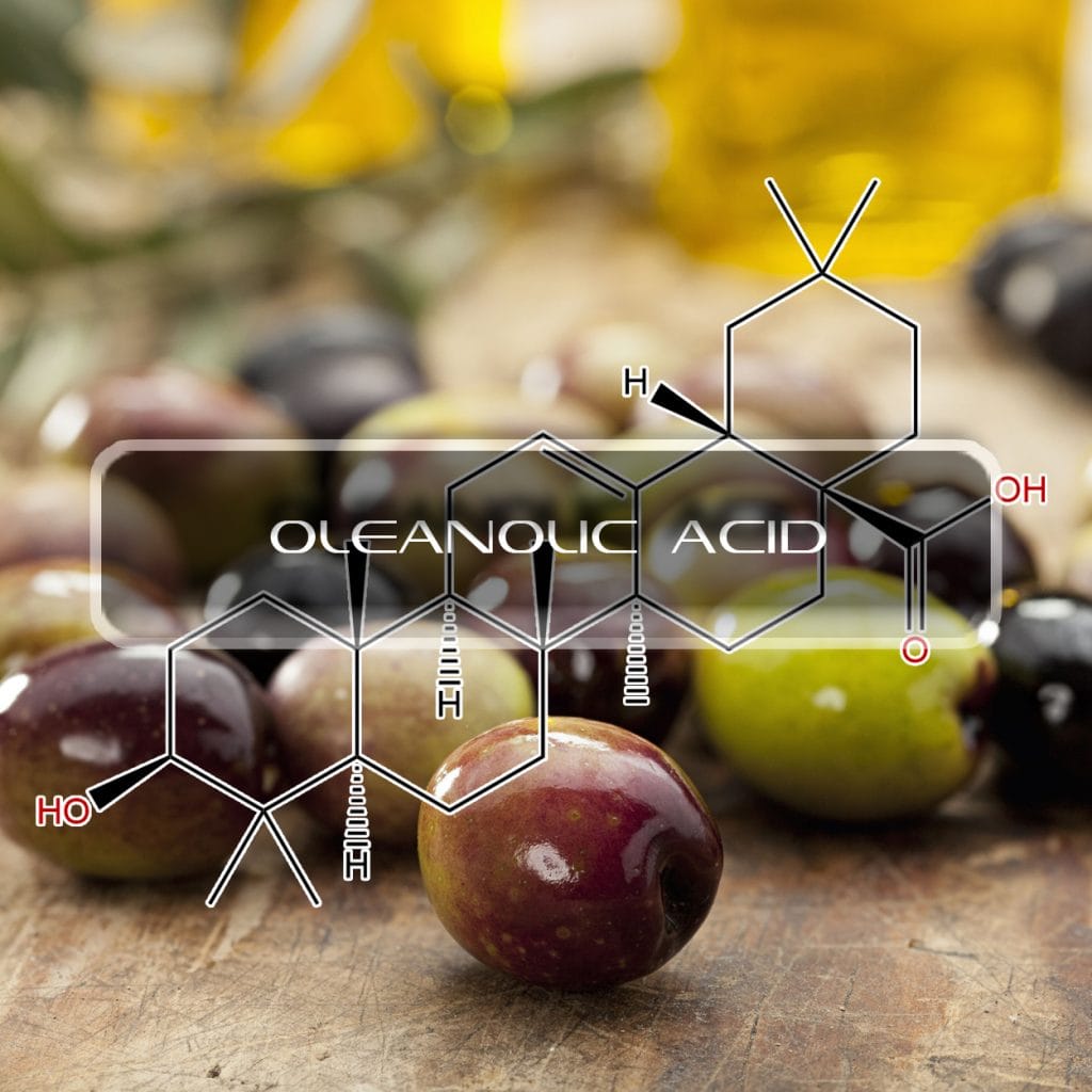 Benefits of Oleanolic acid | Interstellar Blends | Activate Your Super ...