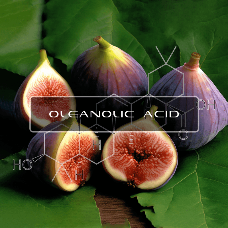 Benefits Of Oleacein | Interstellar Plan | Science Based Anti Aging ...