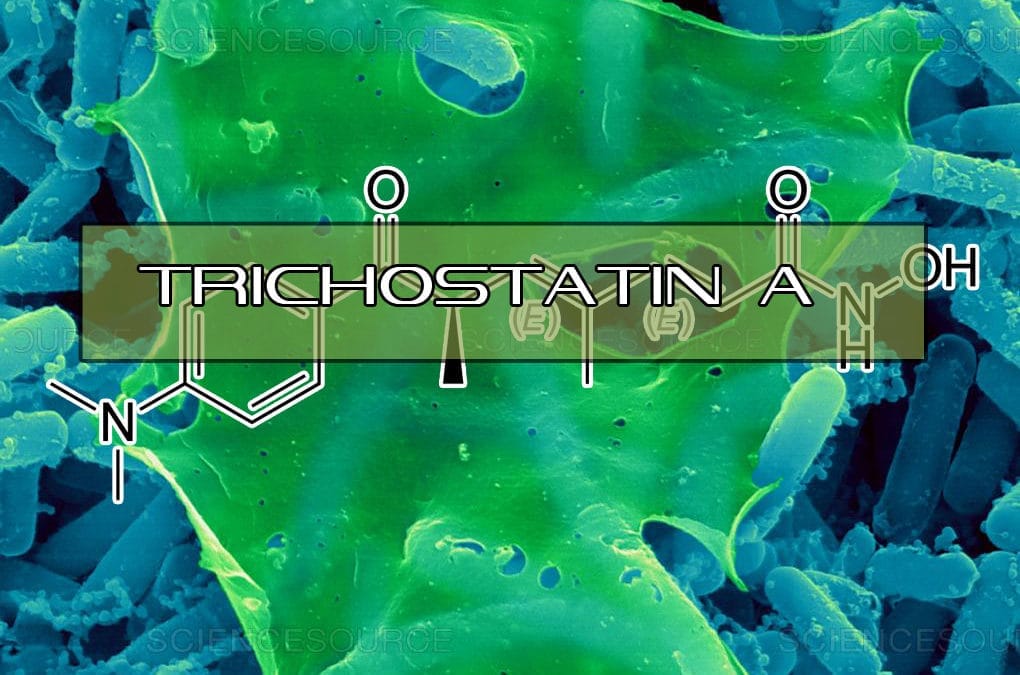 Benefits of Trichostatin A | Interstellar Blends | Activate Your Super ...