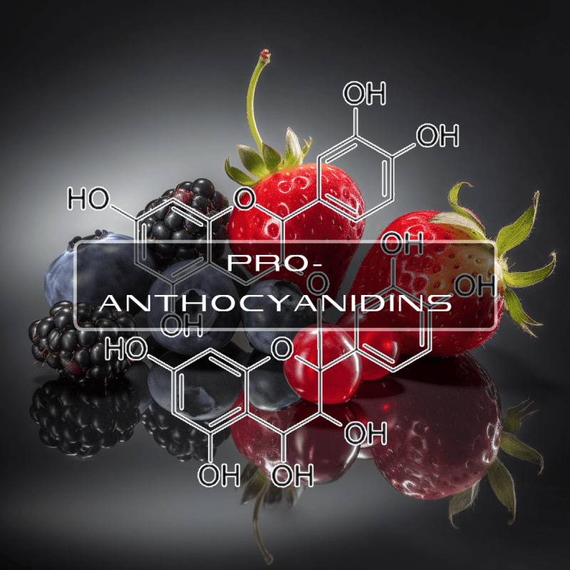 Benefits of Procyanidin B3 | Interstellar Blends | Activate Your Super ...