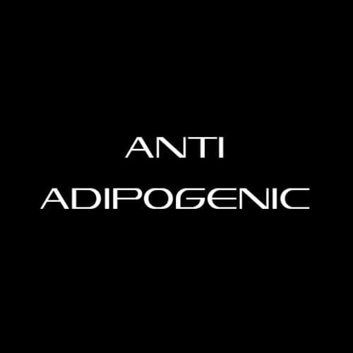 ANTI ADIPOGENIC | Interstellar Plan | Science Based Anti Aging Formulas