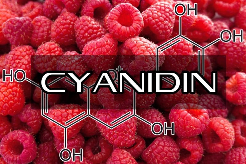 CYANIDIN | Interstellar Plan | Activate Your Super Powers!