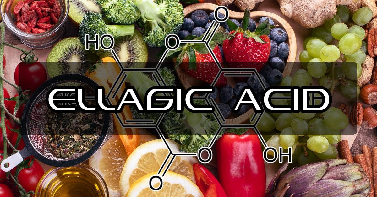 ELLAGIC ACID | Interstellar Blends | Activate Your Super Powers!